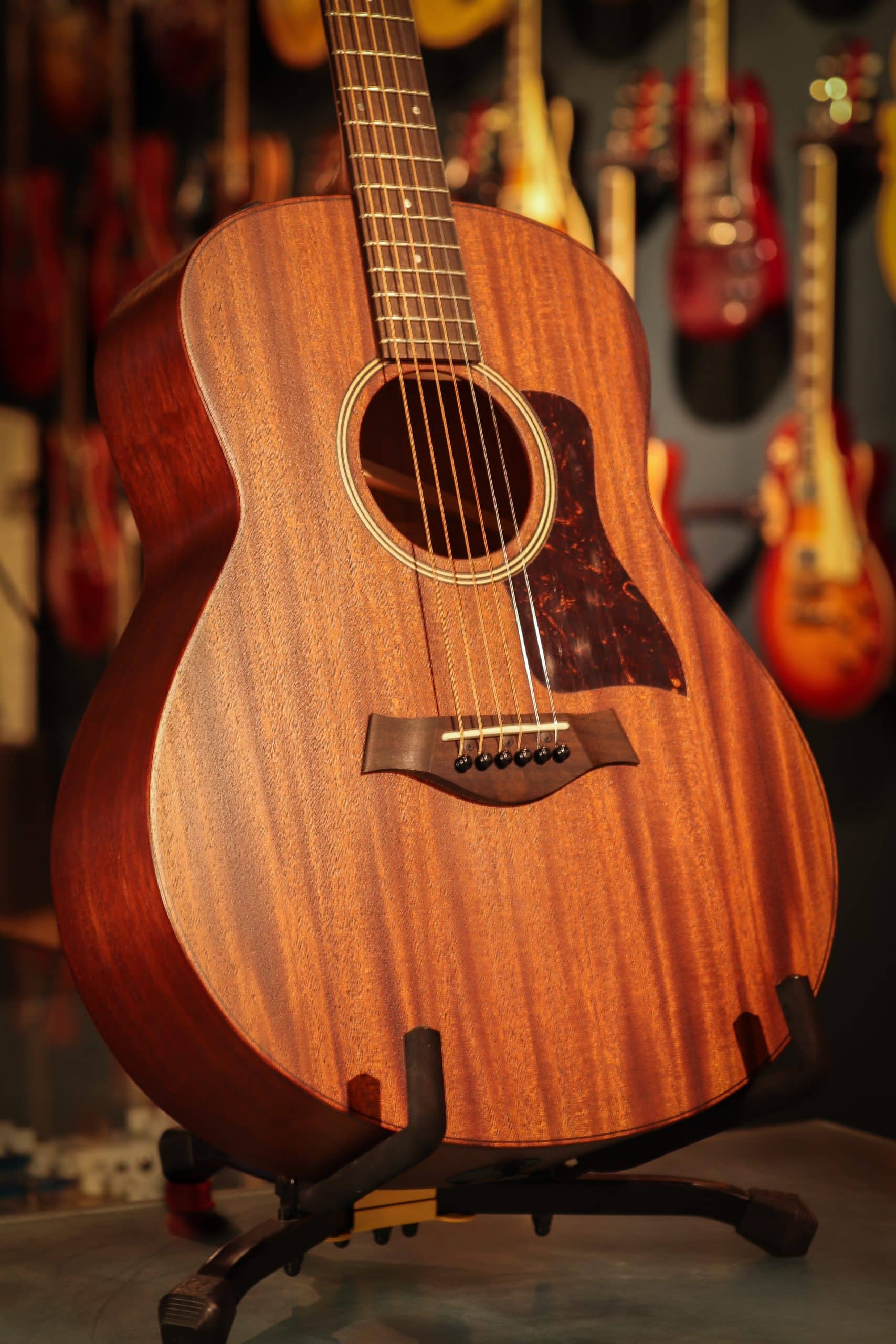 TAYLOR GUITARS - Kauffmann's Guitar Store