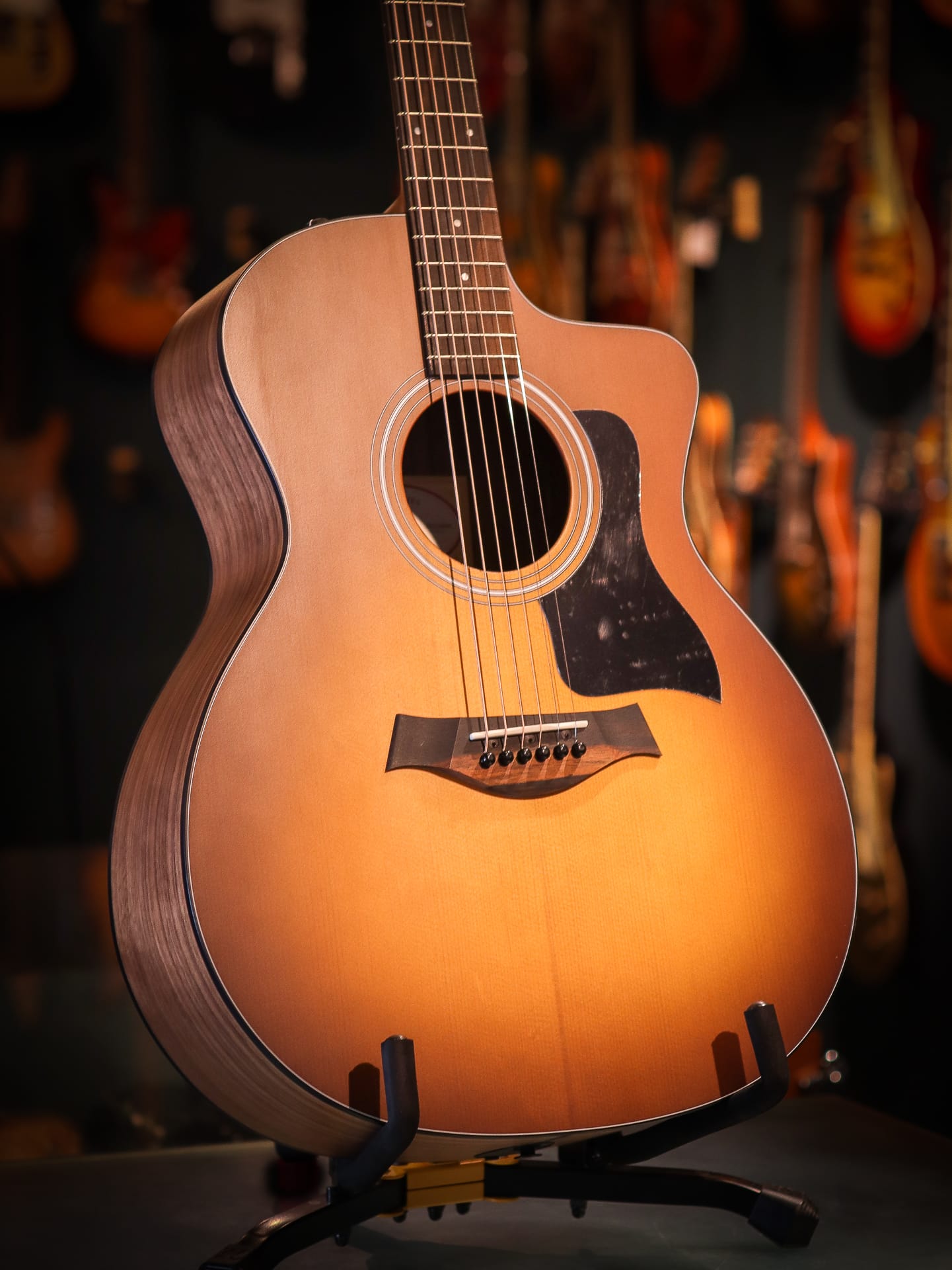 TAYLOR GUITARS - Kauffmann's Guitar Store